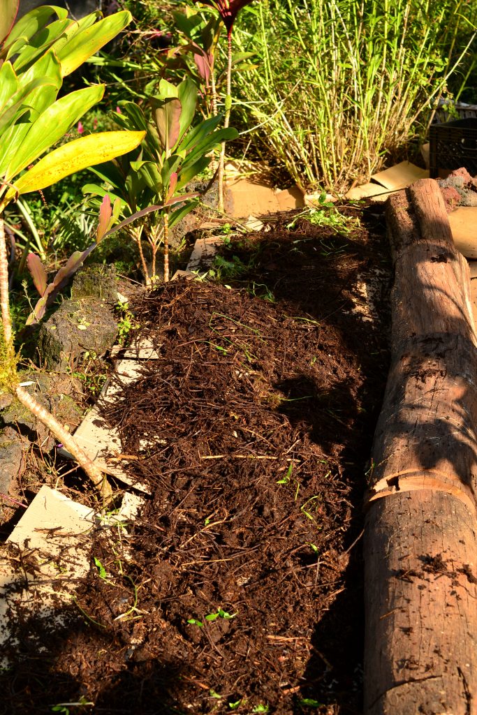 Soil Building/Bed Making - Tropical Self Sufficiency
