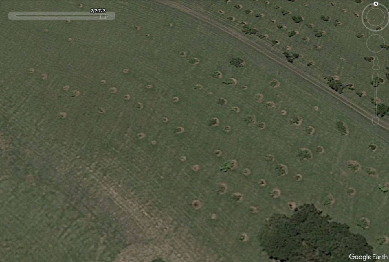 Agroforestry - Tropical Self Sufficiency