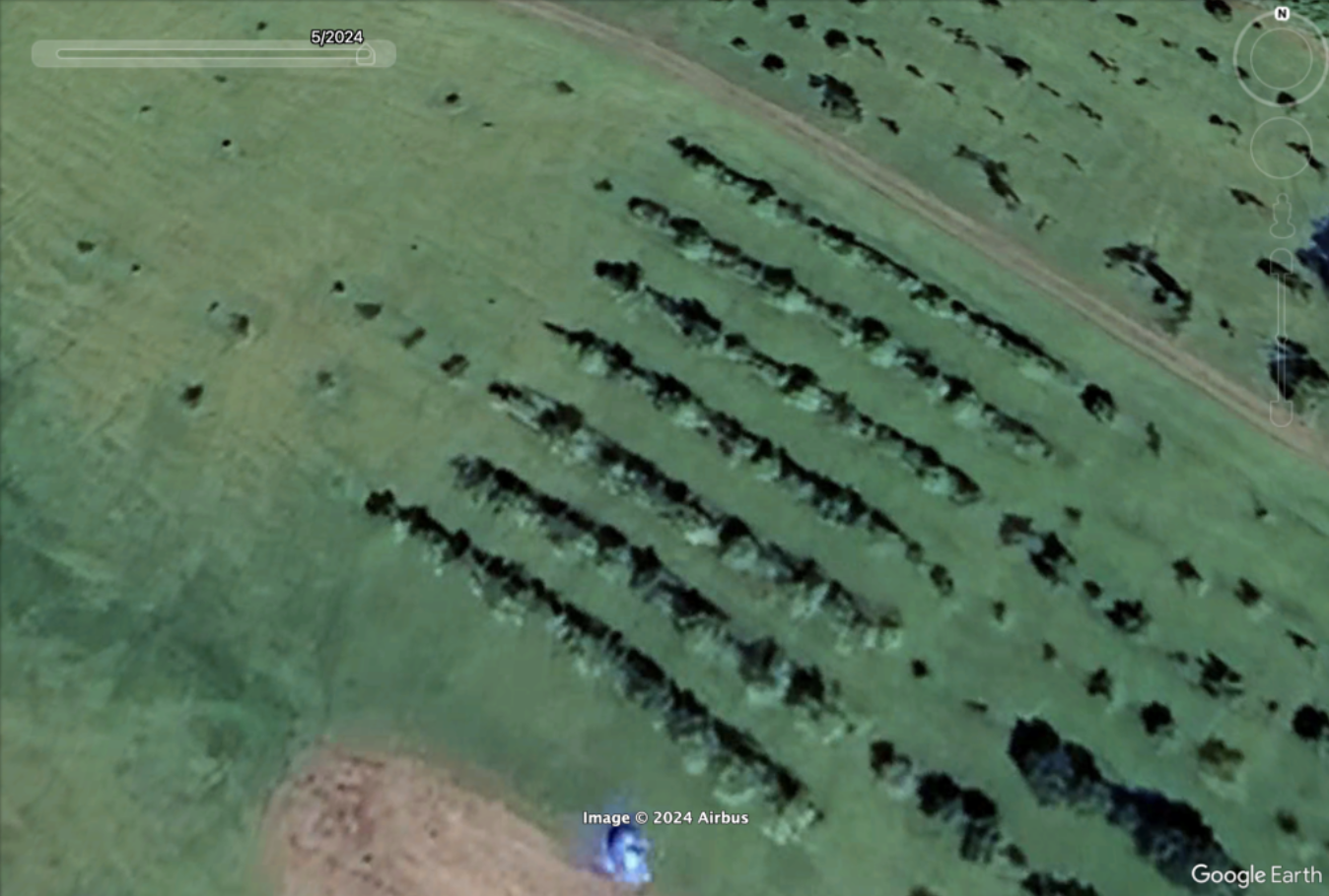 Agroforestry - Tropical Self Sufficiency